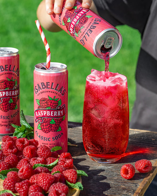 Raspberry Soda Can 355ml - The Food Purveyor